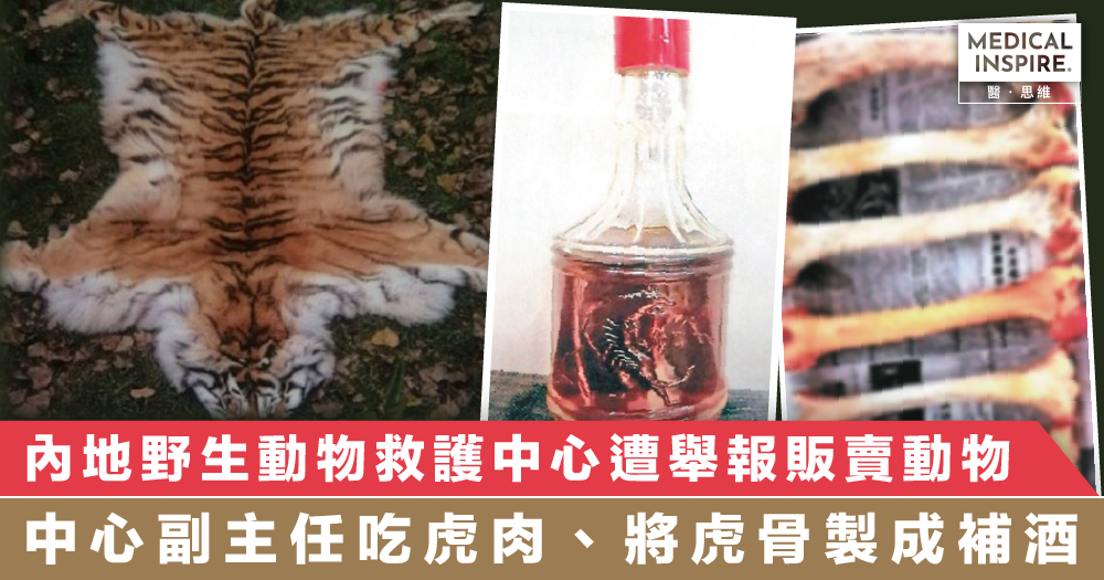 野生動物 – Medical Inspire 醫・思維